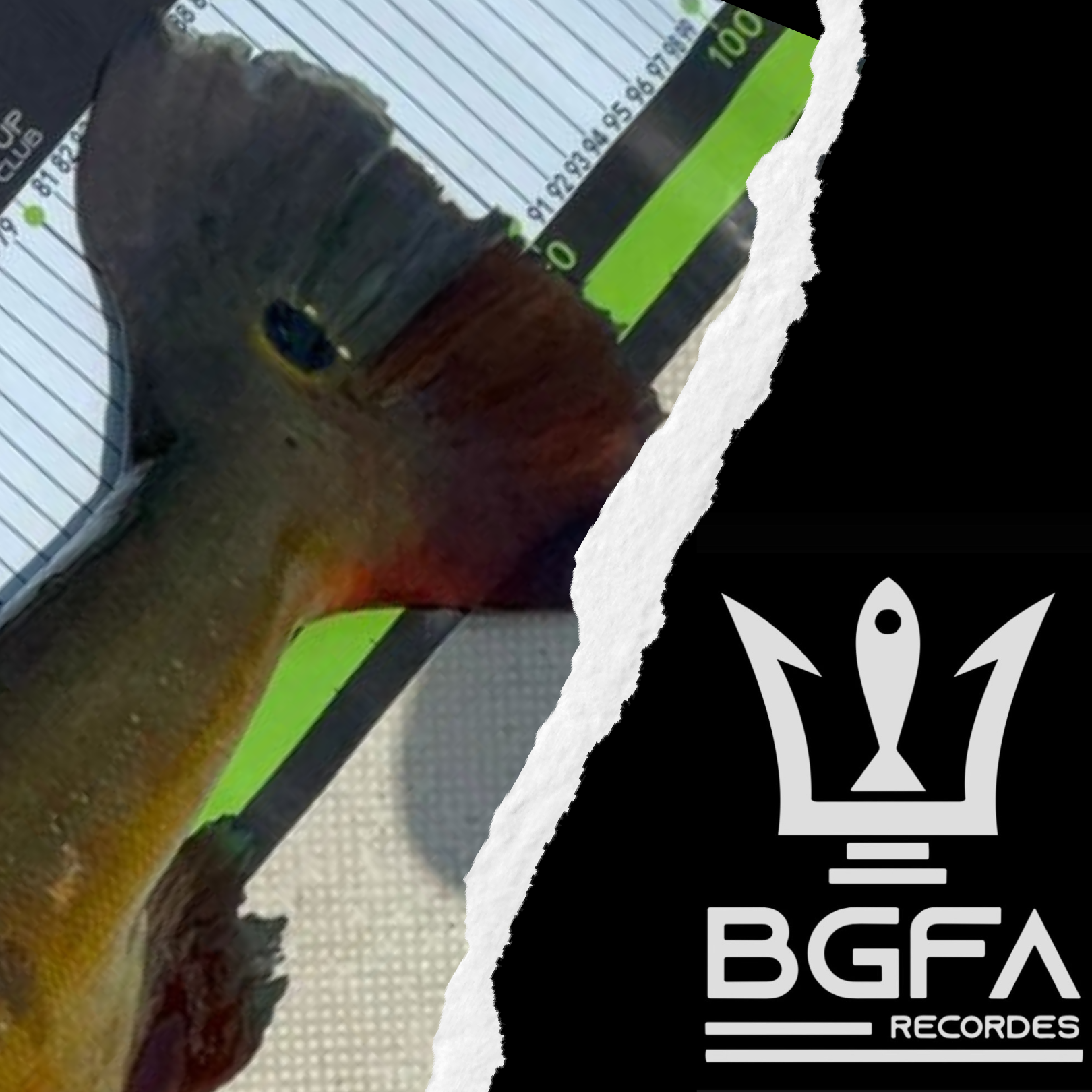 Possível novo recorde do Tucunaré Açu. – BGFA Recordes
